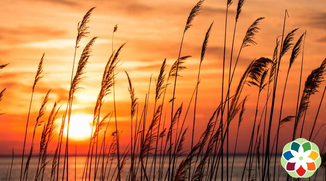 Reflection Friday by Dr. Durland | Dr. Durland's Simple Wellness ... Reflection Friday by Dr. Durland | Dr. Durland's Simple Wellness ...